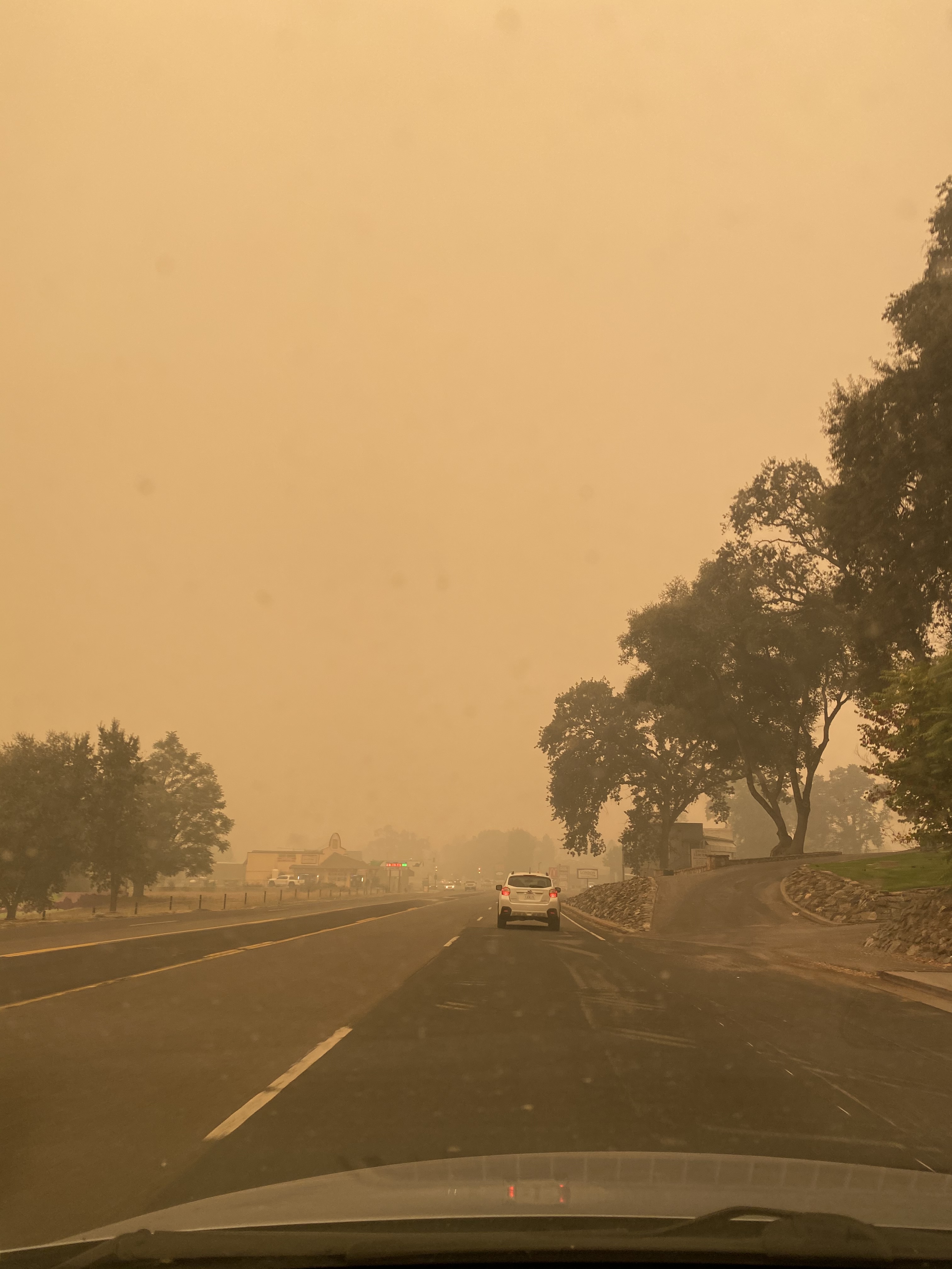 Forthcoming Publications – PILAR CHRISTIANA GRAHAM